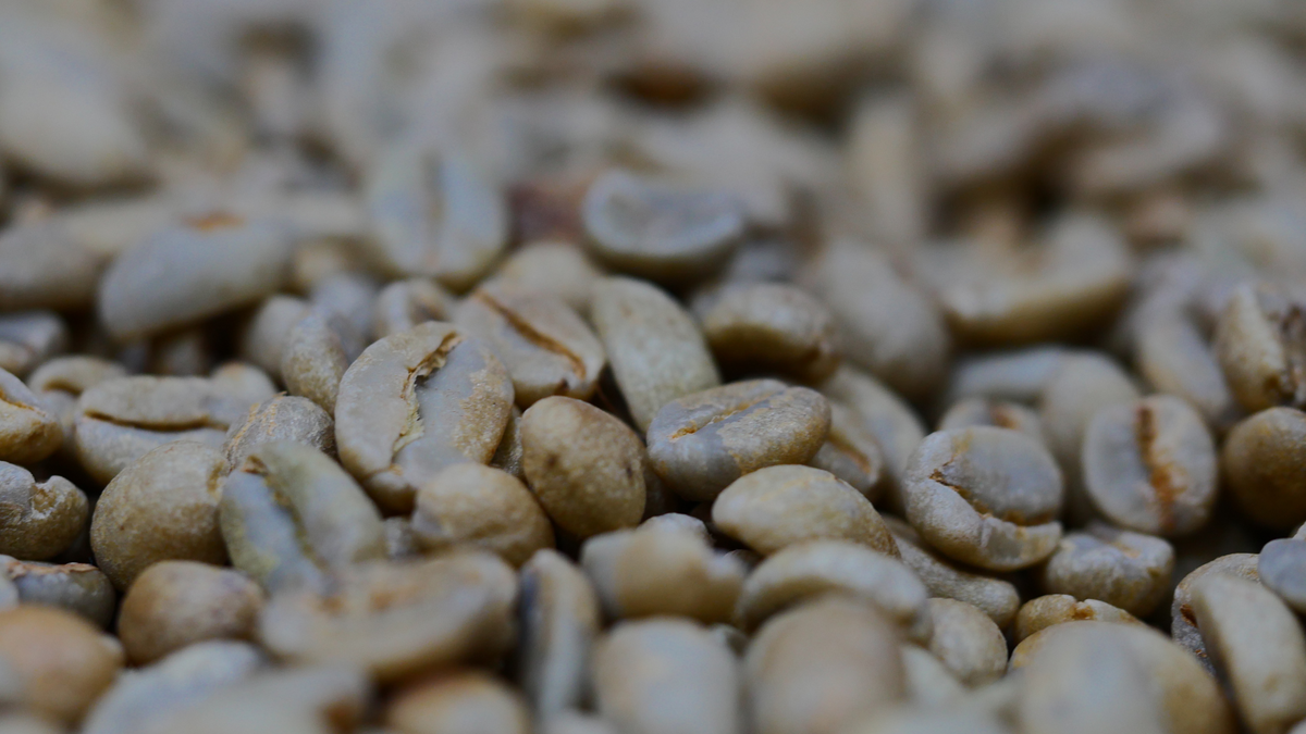 The Ultimate Guide to Arabica Coffee Varieties – Femobook